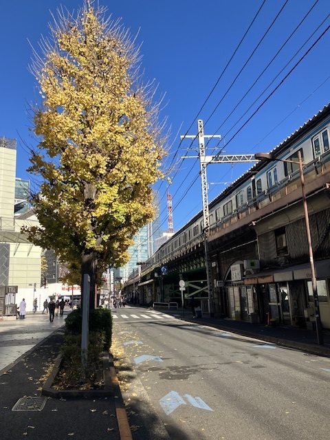 Cedarの令和瘋癲老人日記・Seesaa版